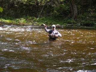 French Nymphing | Euro Nymphing | CzechNymph.com