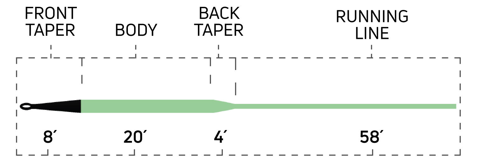 Fly Line Sinking Cortland 444 SINK TIP TYPE 6 Classic | CzechNymph.com