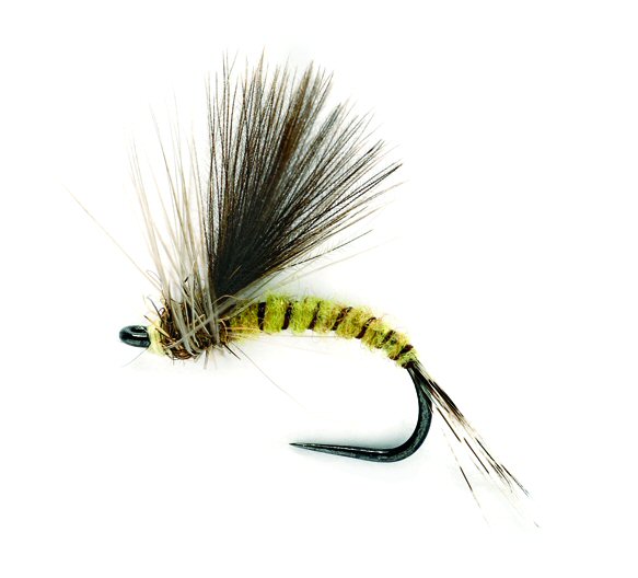 CDC Olive Emerger | CzechNymph.com