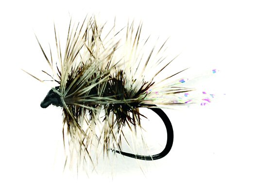 Griffiths Sparkle Gnat | CzechNymph.com