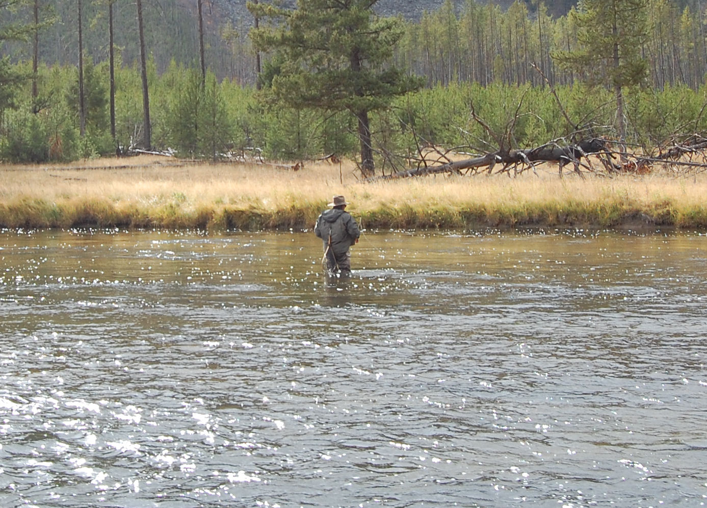 Dancing With Trout | CzechNymph.com