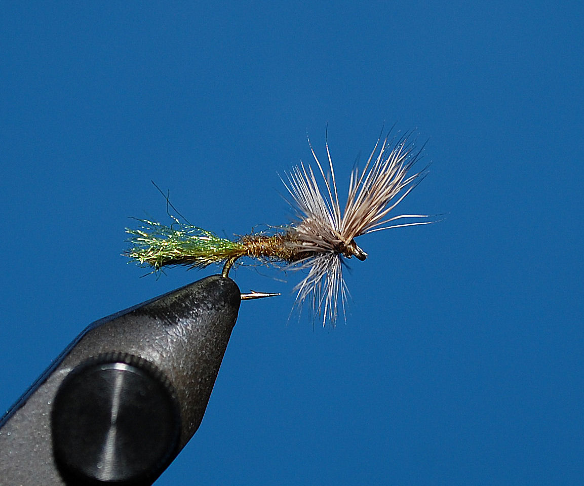 Dancing With Trout | CzechNymph.com