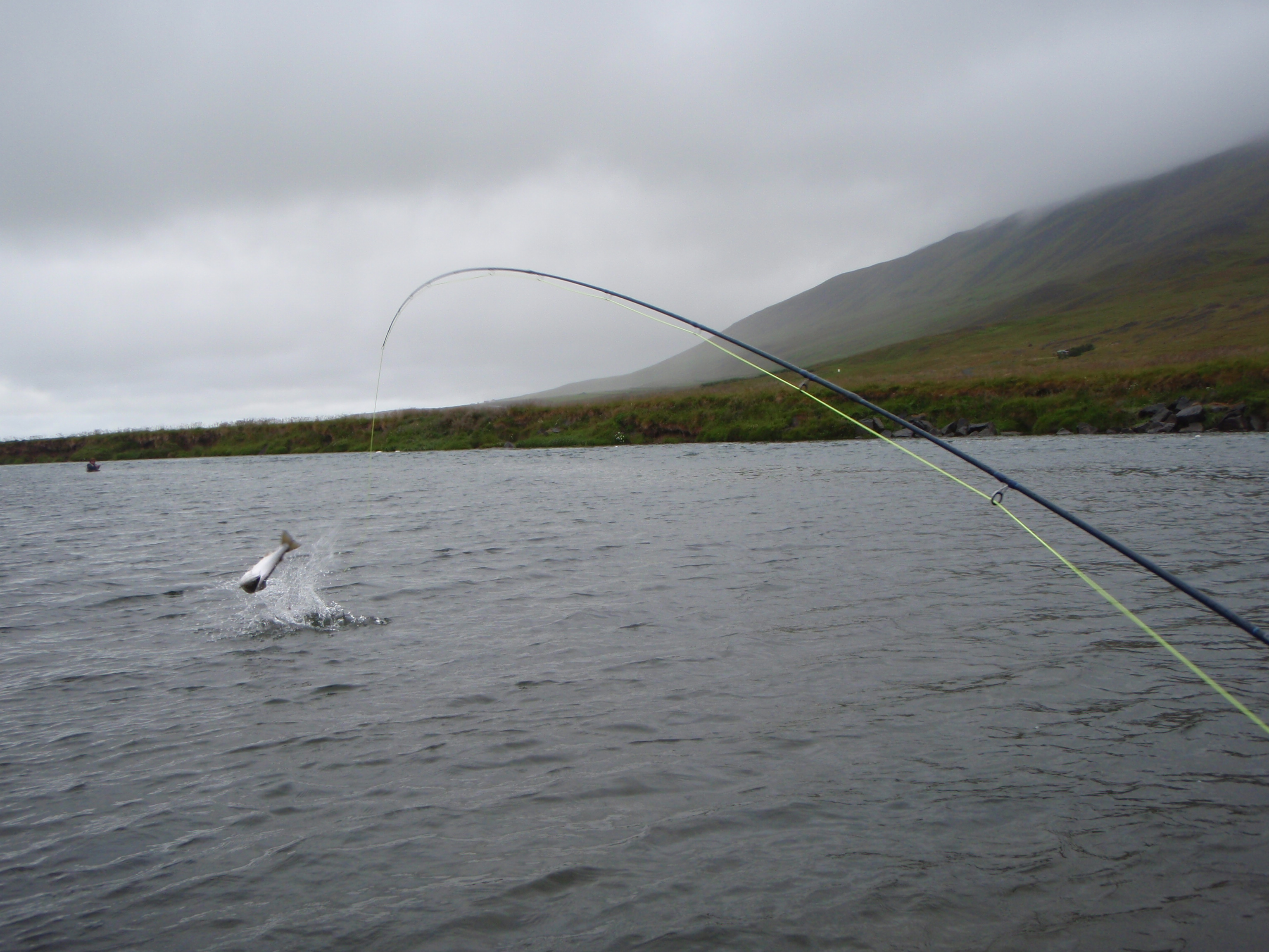 Hitch technique for Atlantic Salmon | CzechNymph.com