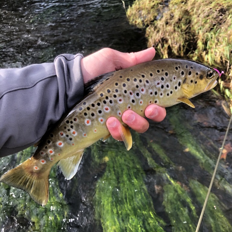 Squirms Worms | Worm Patterns For Fly Fishing | CzechNymph.com