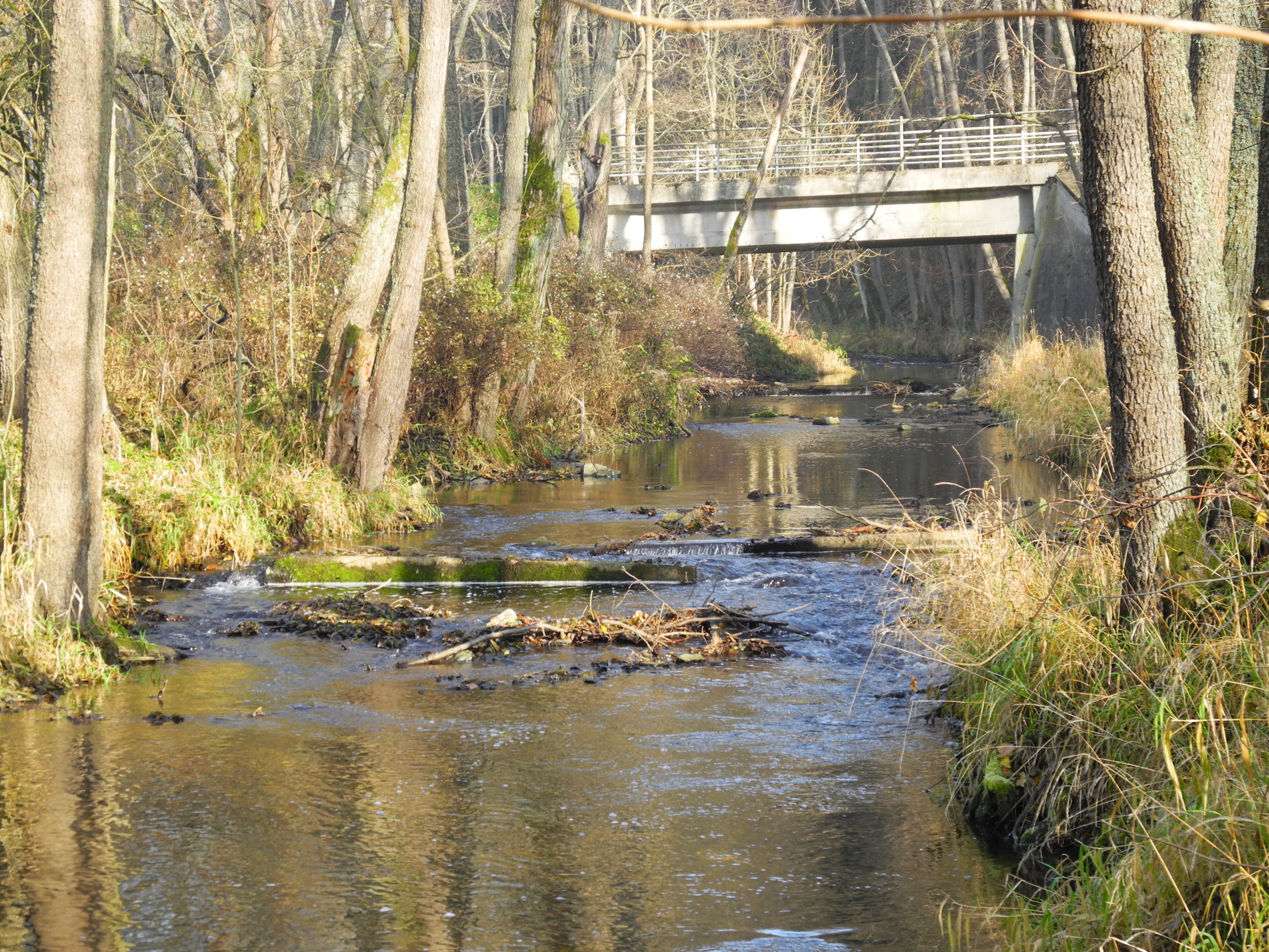 Úterský potok, Czech Republic | CzechNymph.com