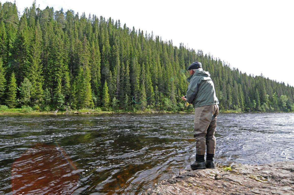 Gaula River | FlyFishing Norway | CzechNymph.com