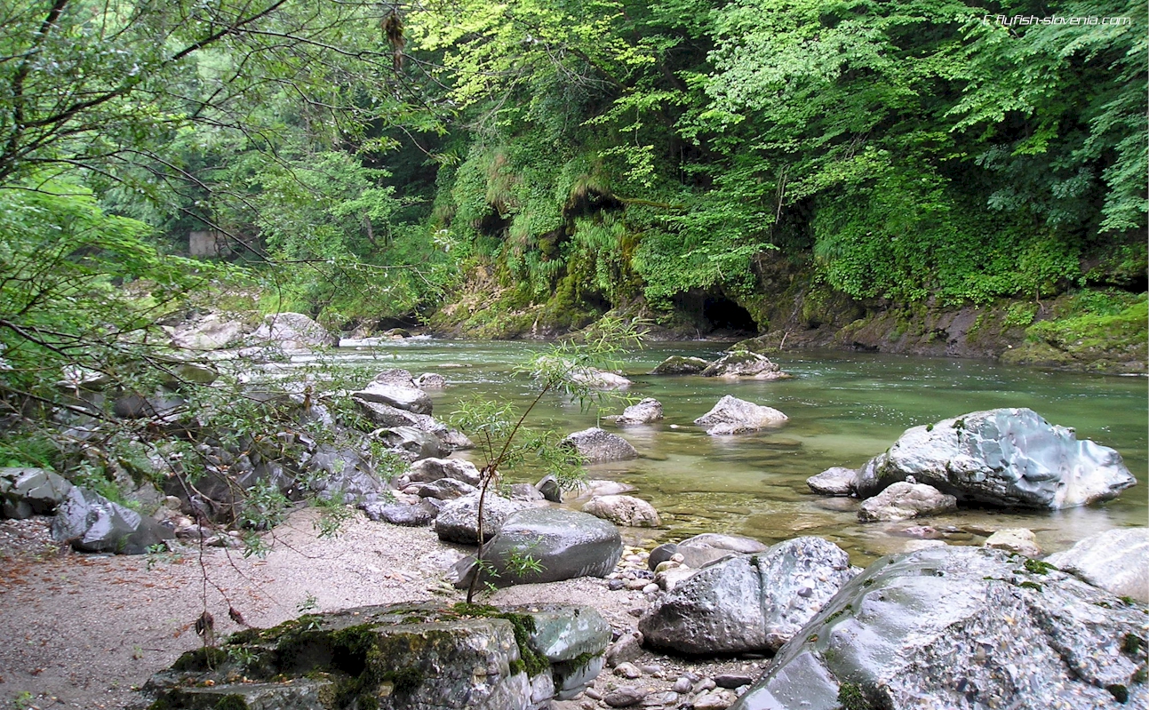 Idrijca River | Fly Fishing in Slovenia | CzechNymph.com