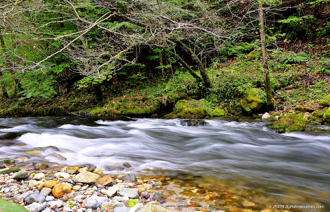 Idrijca River | Fly Fishing Slovenia | CzechNymph.com