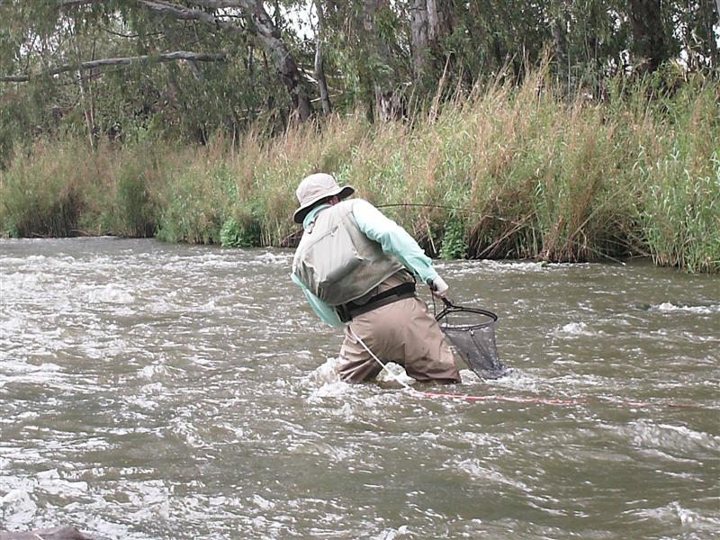 Vaal River - Middle | CzechNymph.com