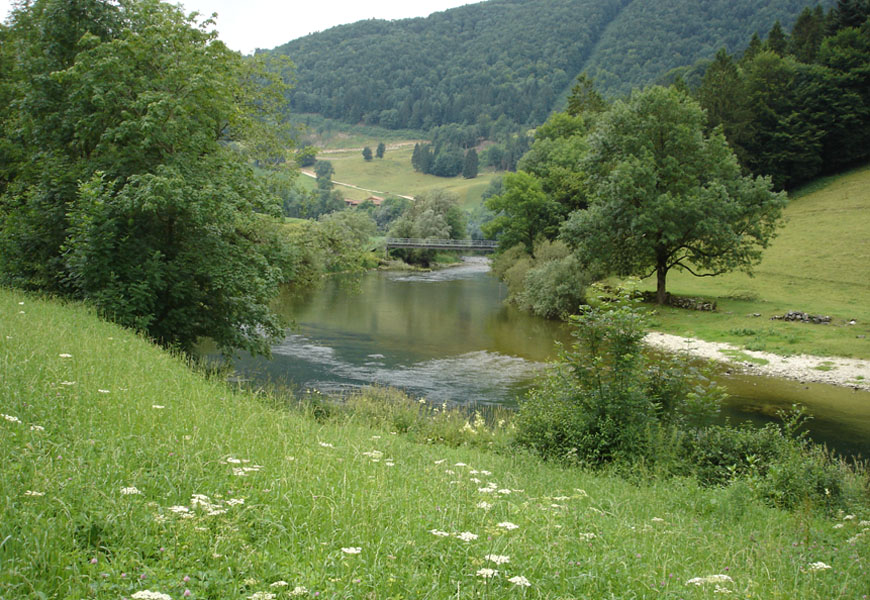 Swiss Doubs | CzechNymph.com