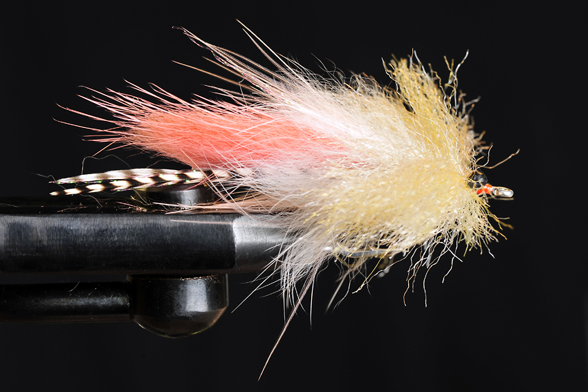 Tarpon Toad | CzechNymph.com