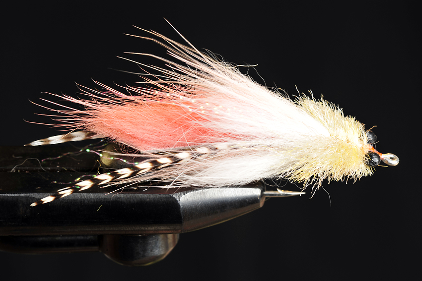 Tarpon Toad | CzechNymph.com