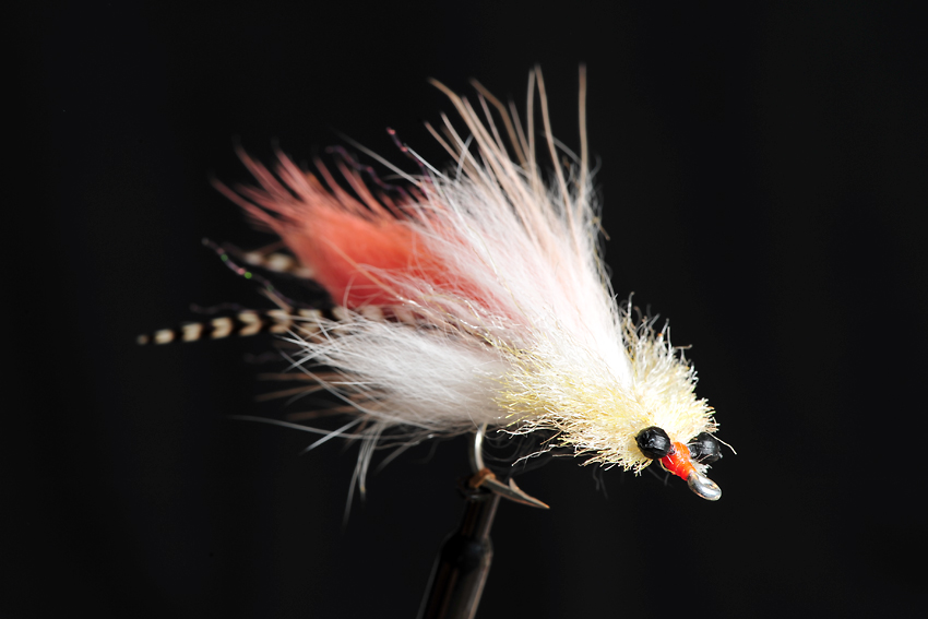 Tarpon Toad | CzechNymph.com