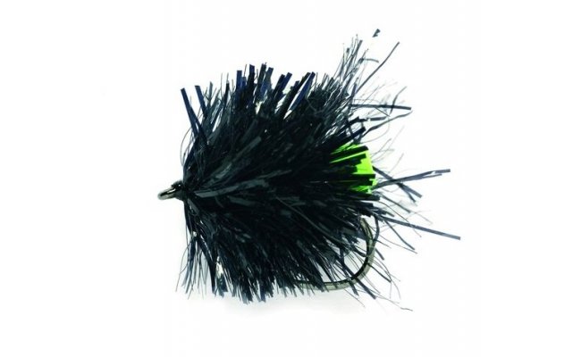Blob Egg Laying Black