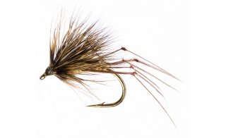 Half Hog Olive | CzechNymph.com